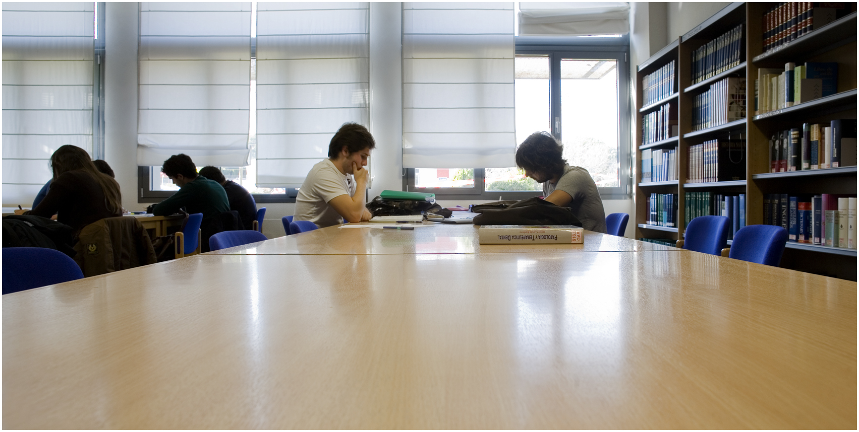 CEU Universities - son représentant officiel StudiesUP